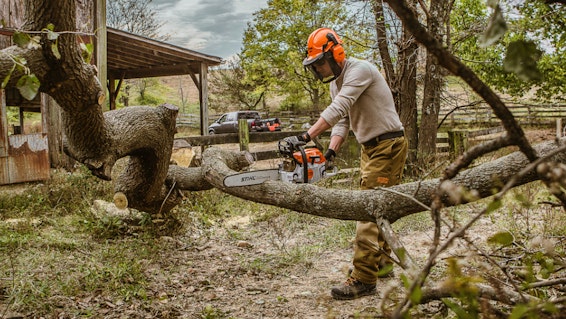 Mark Chisholm | STIHL Community | Team STIHL | STIHL USA