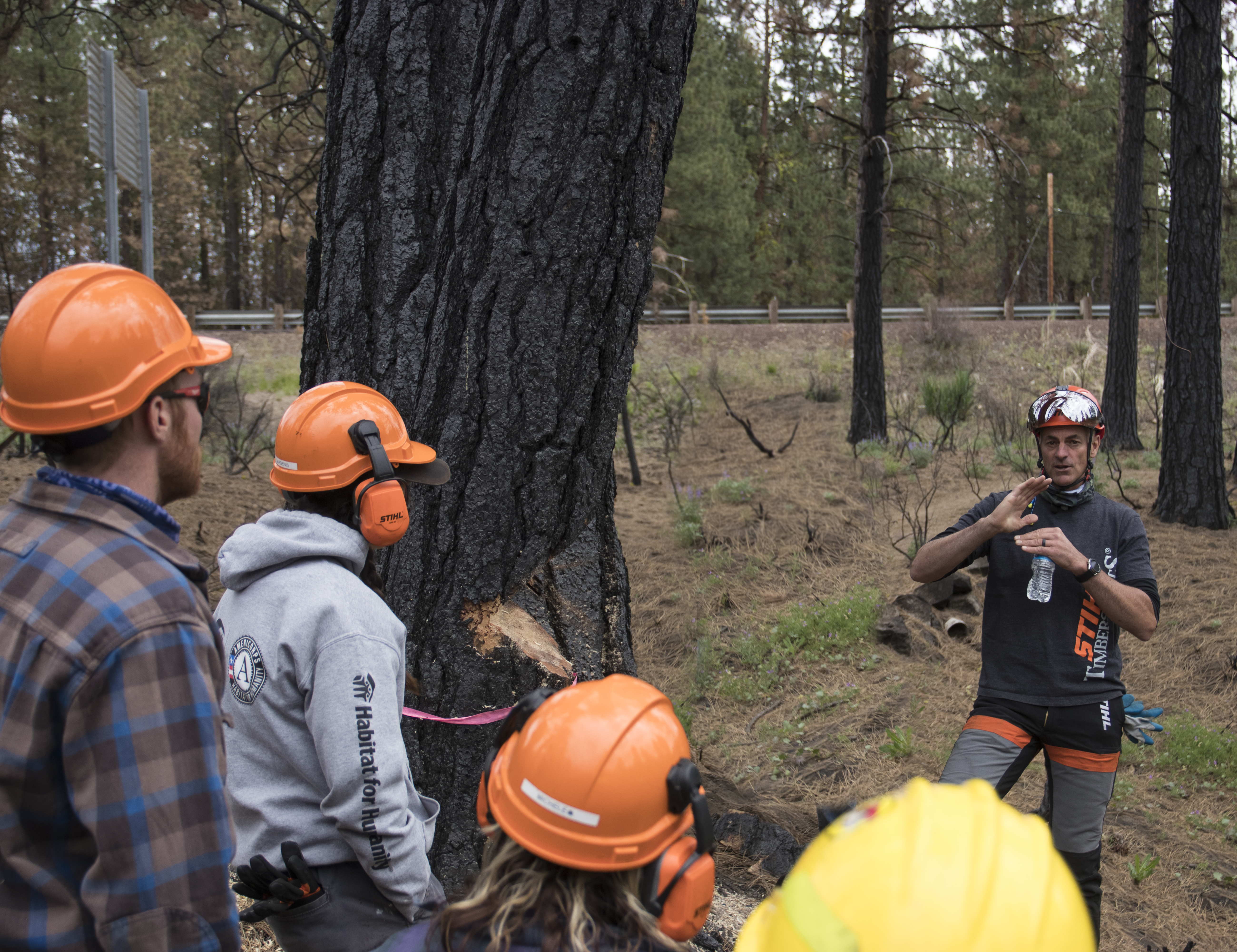 Team STIHL | Mark Chisholm | STIHL USA