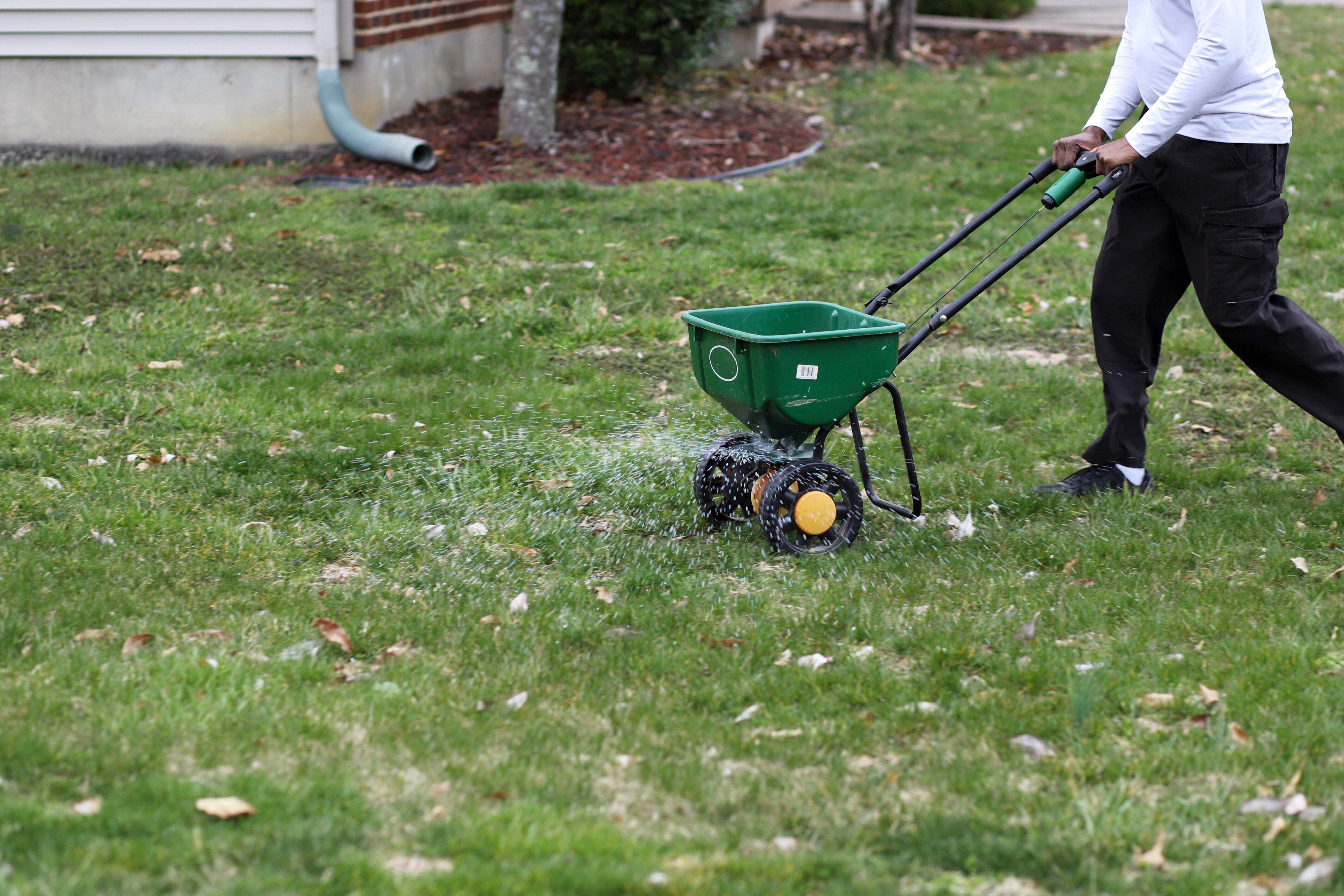 Fall Lawn Care Tips & Maintenance Guides | STIHL USA